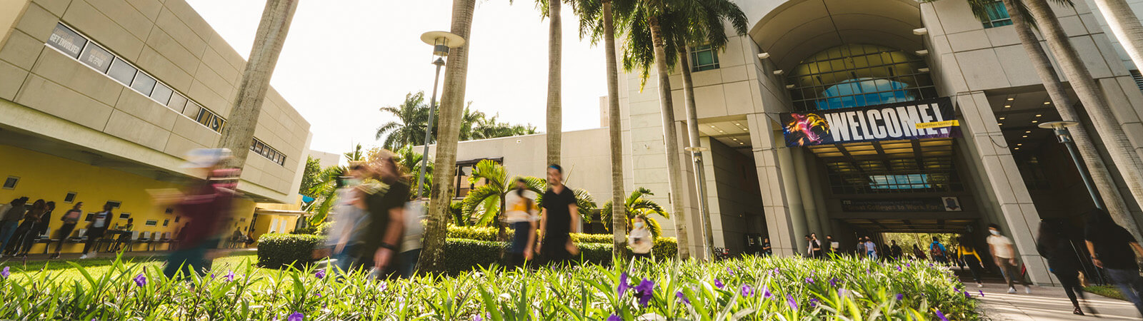 About Florida International University | FIU International Admissions